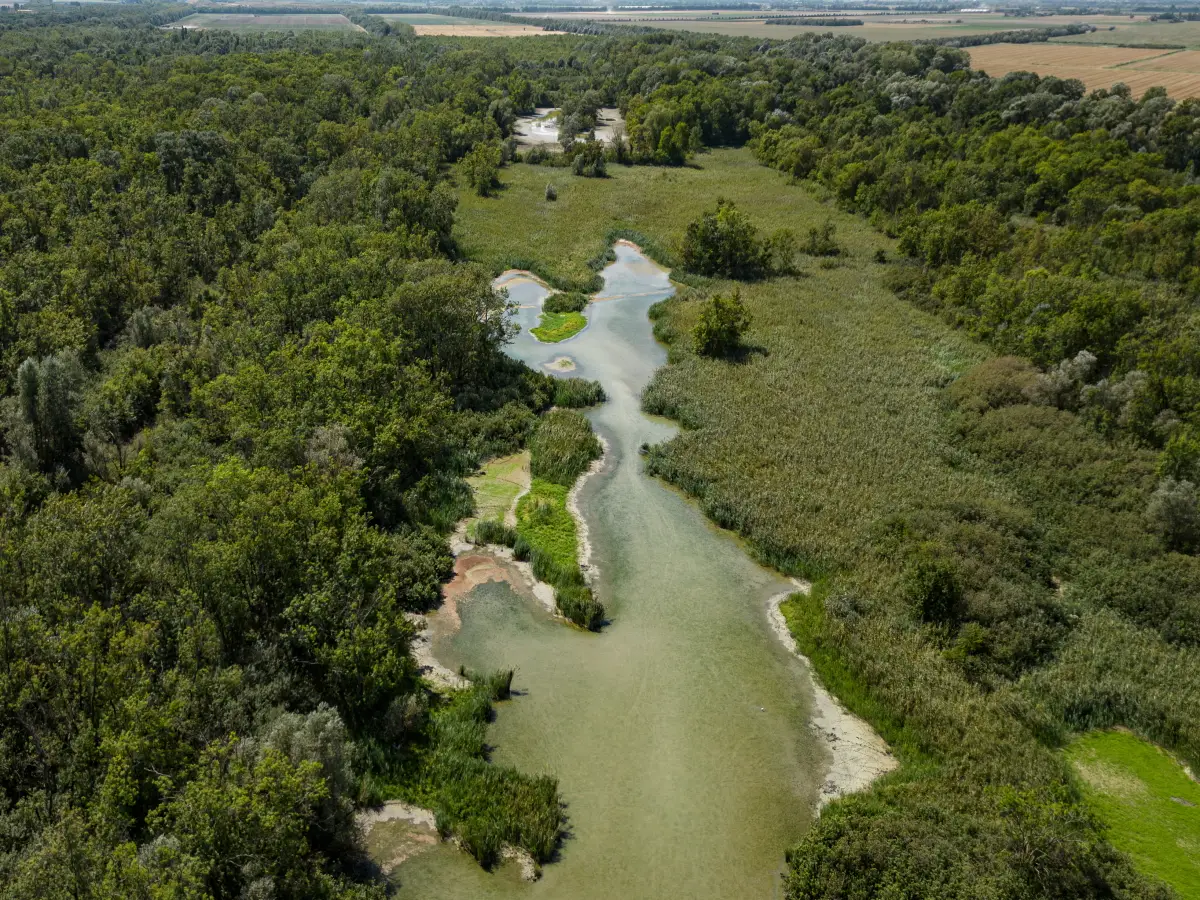 Parco Italia, 22 milioni di nuovi alberi entro il 2040